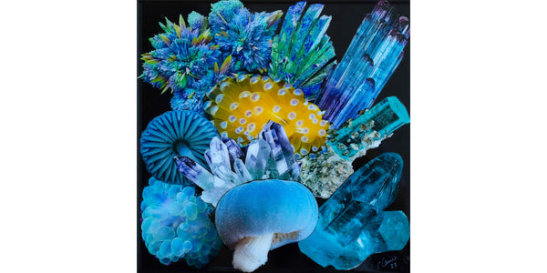 NUDI BLUE CRYSTAL – MAISON 10